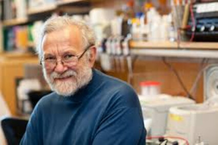 最新热点：年度诺贝尔奖最后预热，你看好谁？